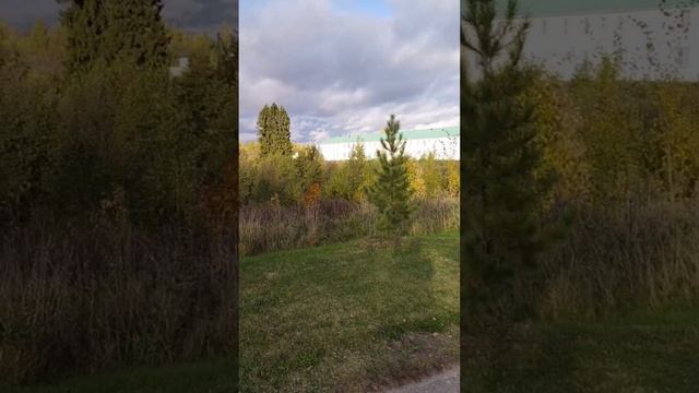 Паломничества и отпуска, репортажи