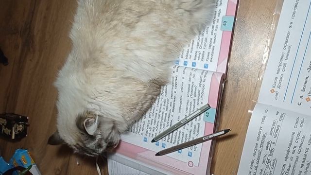 вот что бывает если делать уроки до поздна