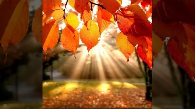 «Три осени»