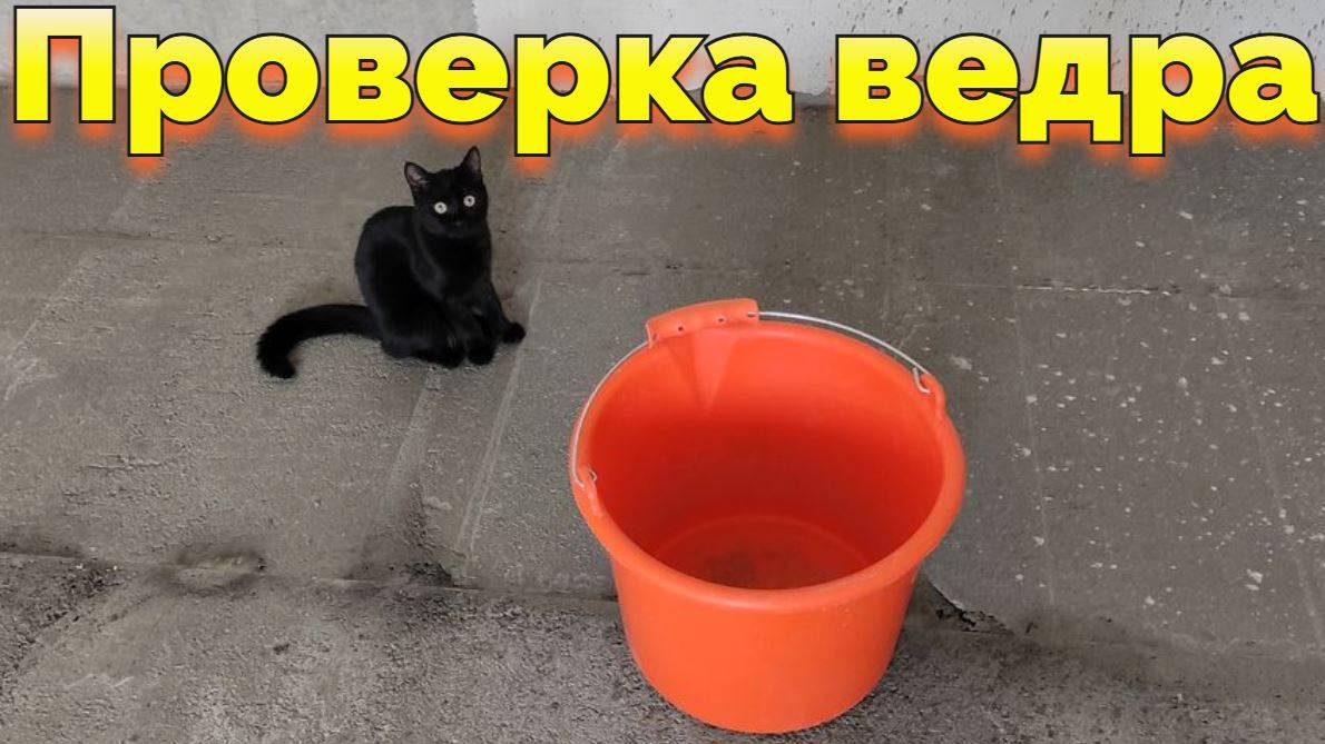 Проверяем строительное ударопрочное оранжевое ведро Декор стоит ли отдавать 1000 рублей ?