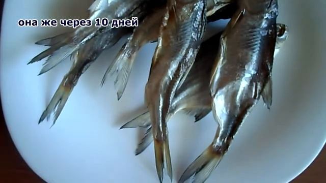 Астраханская вобла