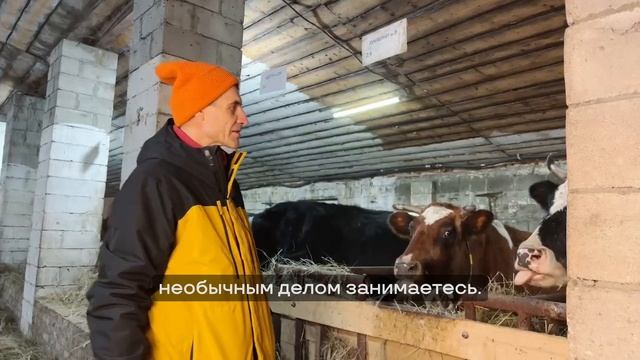 Коров кормить очень благоприятно! Готовьтесь, друзья, 14 октября уже завтра!