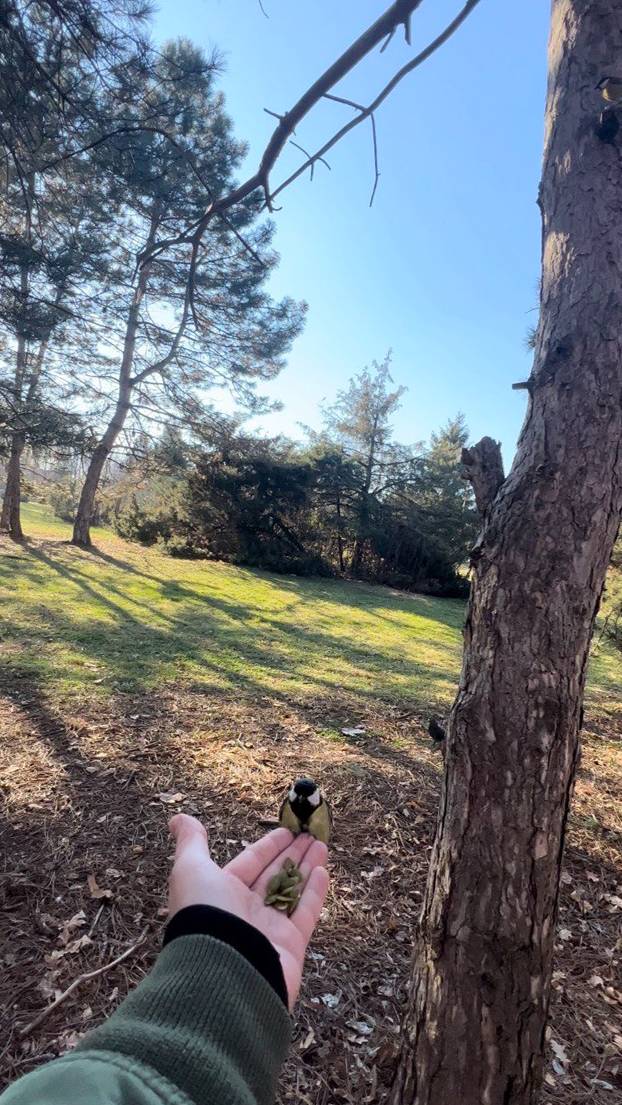 Россия, Краснодар