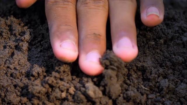 Rise_and_Shine_1_Unit_4_Eat_Up