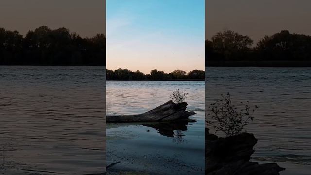 Ловим леща. Фидерная рыбалка