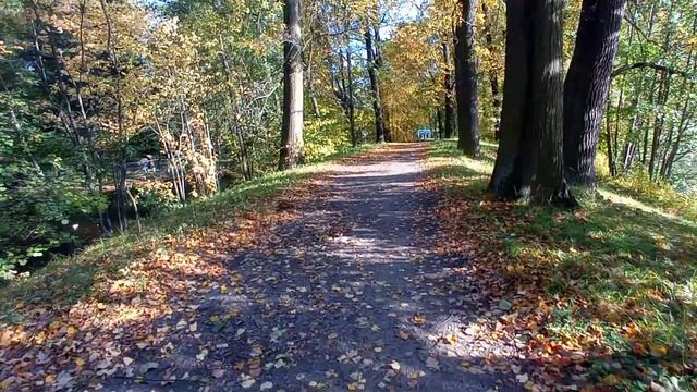 КРАСКИ ОСЕНИ