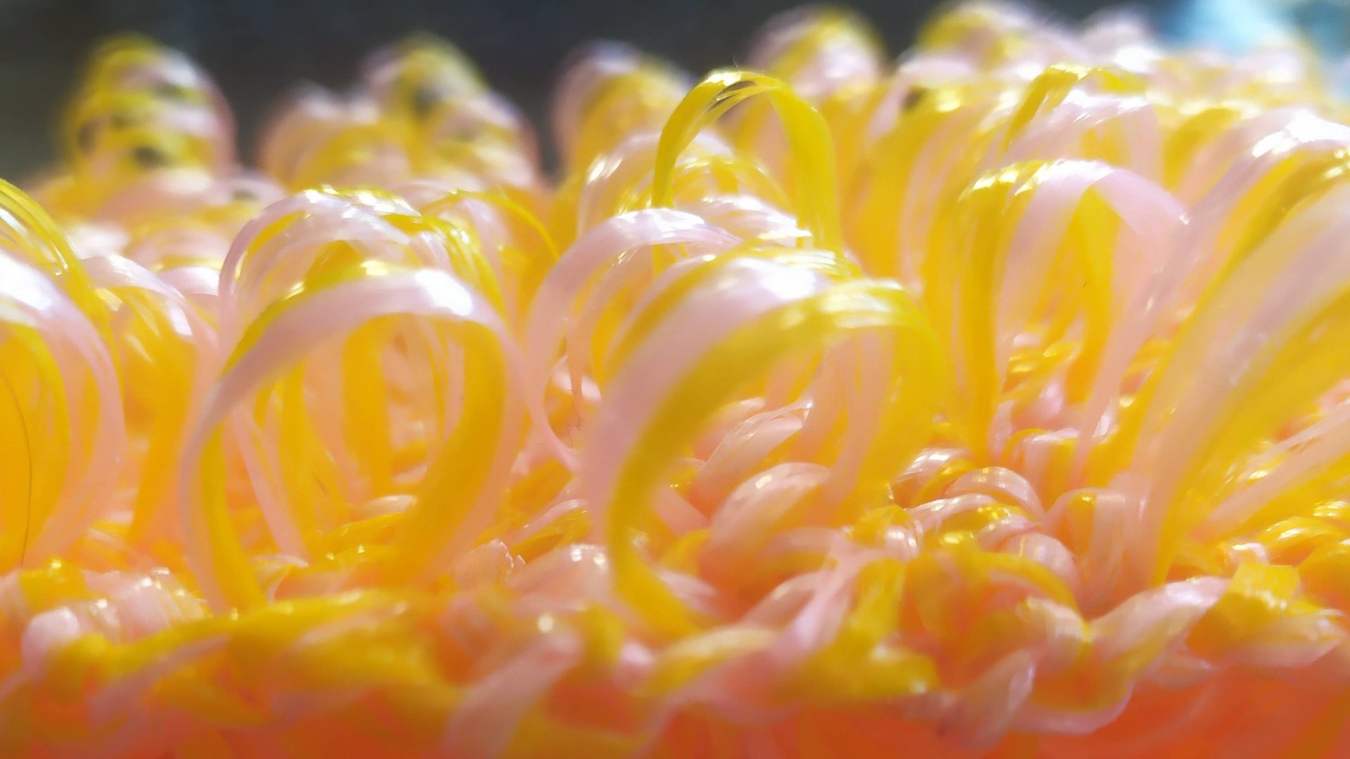 Еще один способ вывязывания петель мочалки.