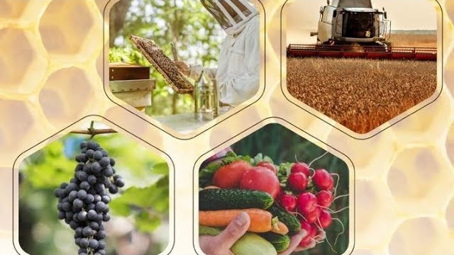 С праздником Жатвы!