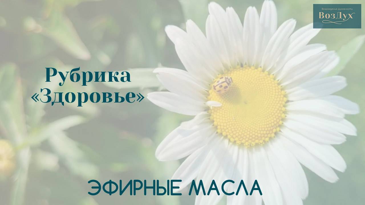 Эфирные масла | Самочувствие | Татьяна Бекаревич