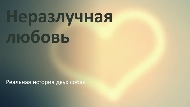 "Неразлучная любовь" на РЖЯ