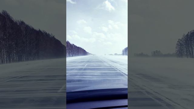 не доезжая до Журавлево, трасса Новосибирск Кемерово