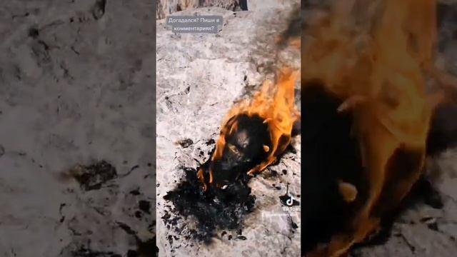 fury head (art performance)