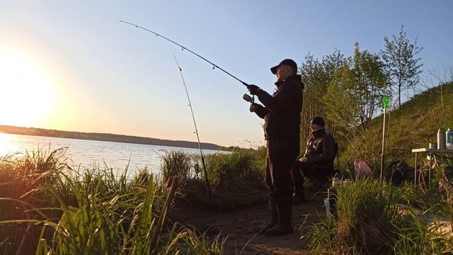 Лещ на донки. ЩУКА на сало. Правильная оснастка на донку "КРОКОДИЛ"