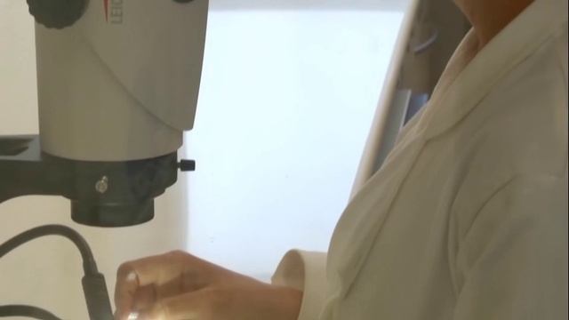 Rise_and_Shine_6_Unit_4