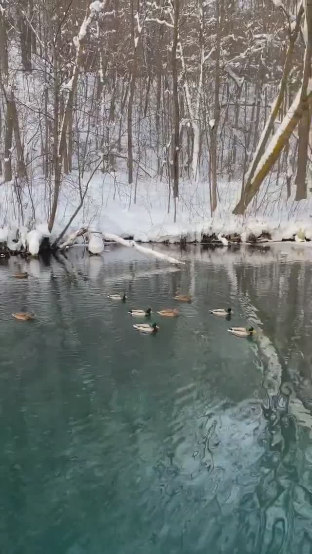 Россия, Казань