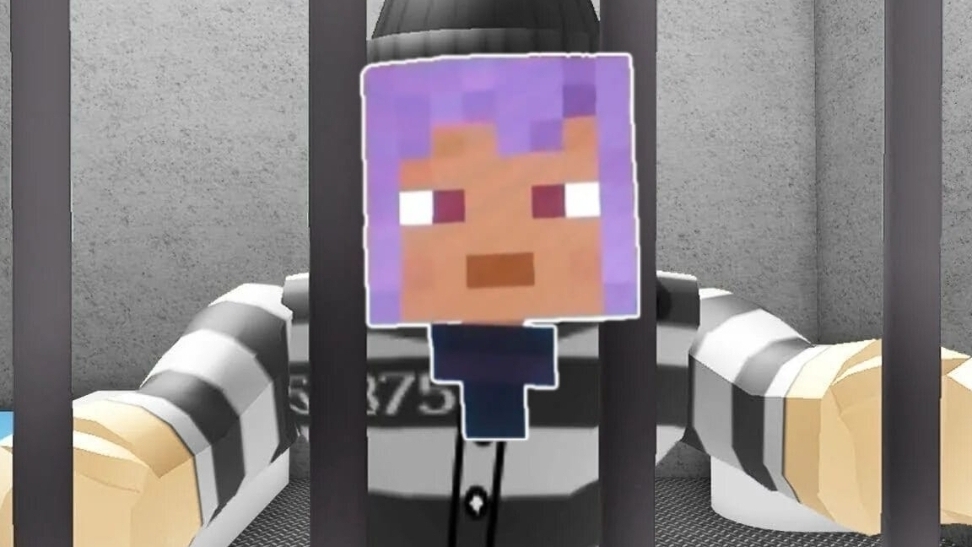 СБЕЖАЛ ИЗ СУМАСШЕДШИЙ ТЮРЬМЫ В РОБЛОКС@молка