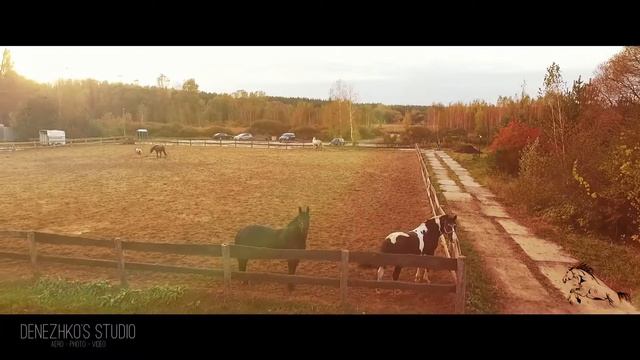 Конно-спортивный клуб Белогорье