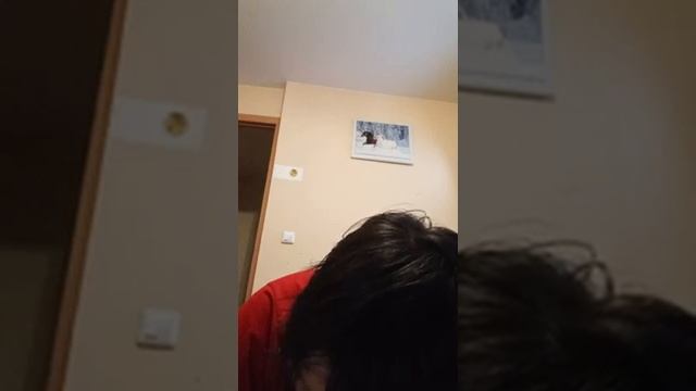 глава 4, в которой путешественники куда-то проваливаются.