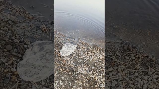 Водичка зеркального цвета