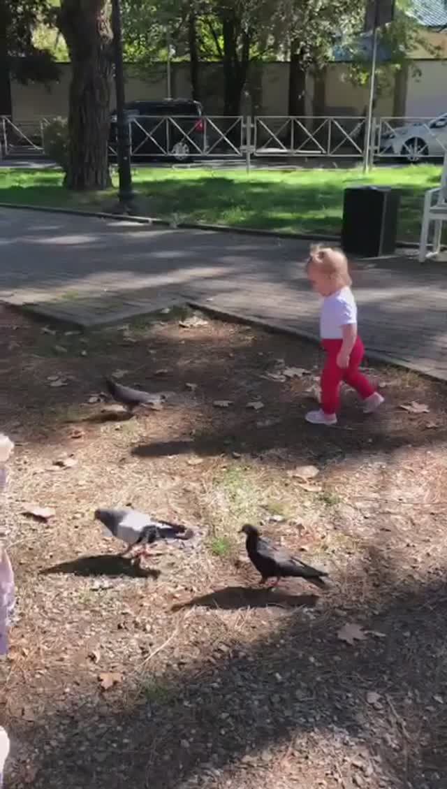 Птички