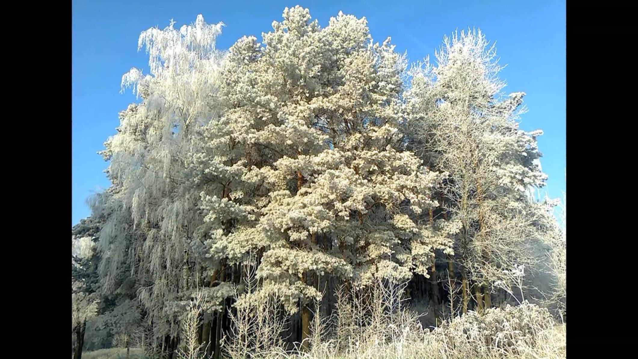 Времена года на окраине Могилева