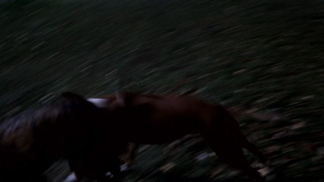 Вито_Мэги_3.0