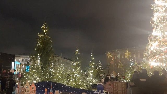 Яркая Дворцовая-4