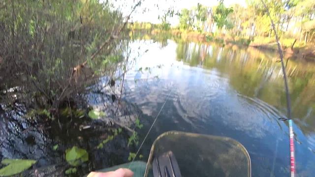 Рыбалка на спиннинг 2024. Попал на окуня. Кидается на всё подряд.