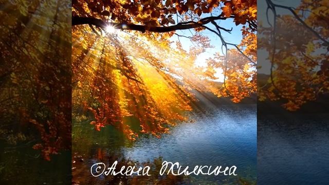 «Мой Октябрь»