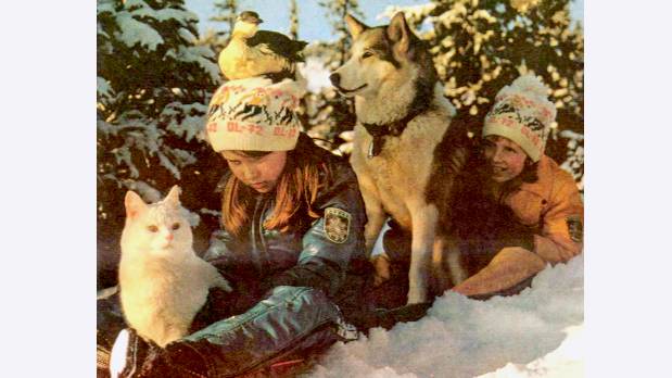 Шикарная детская книга о животных "Варга" (перезалито)