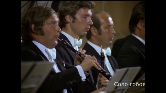 Видеоурок. Бетховен. 5 симфония. 1 и 2 части