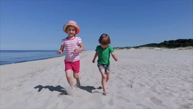 Nature. beehive1-culture-video-unit-4