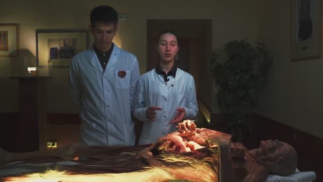 Серия №2 "Препарат мужского пола"