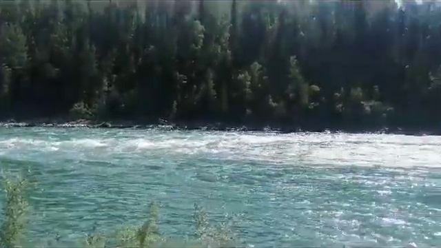 Бирюзовые реки Алтая.