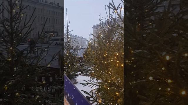 Дворцовая в ожидании.