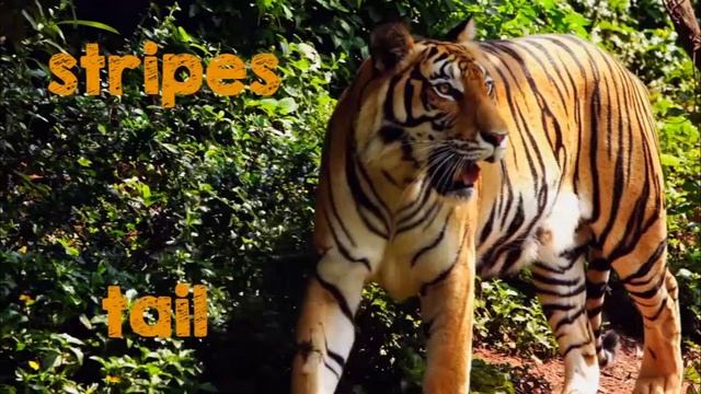 Rise_and_Shine_L3U5_Our_World