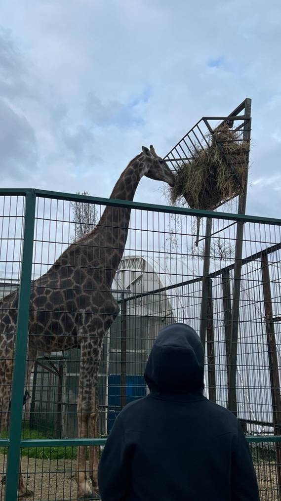 Россия, Краснодар