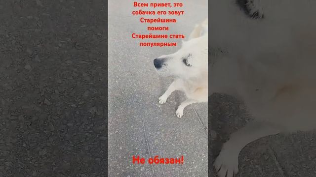 Сразу говорю вы не обязаны!)