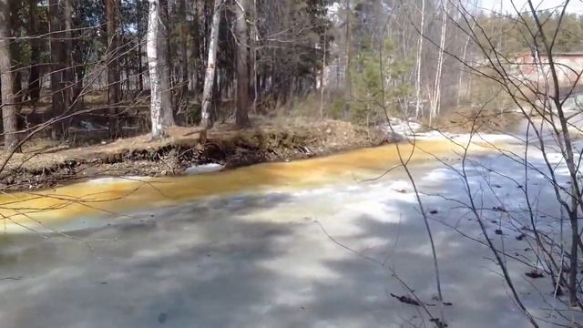 Жёлтая вода реки Бунарка течёт в Верх-Нейвинское водохранилище 30.04.2018.