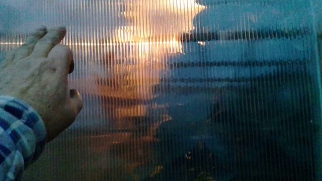 Теплица для Сибири должна быть прочной и тёплой.