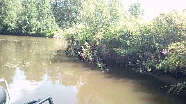 2021_07_10_Макарово_Волчиха