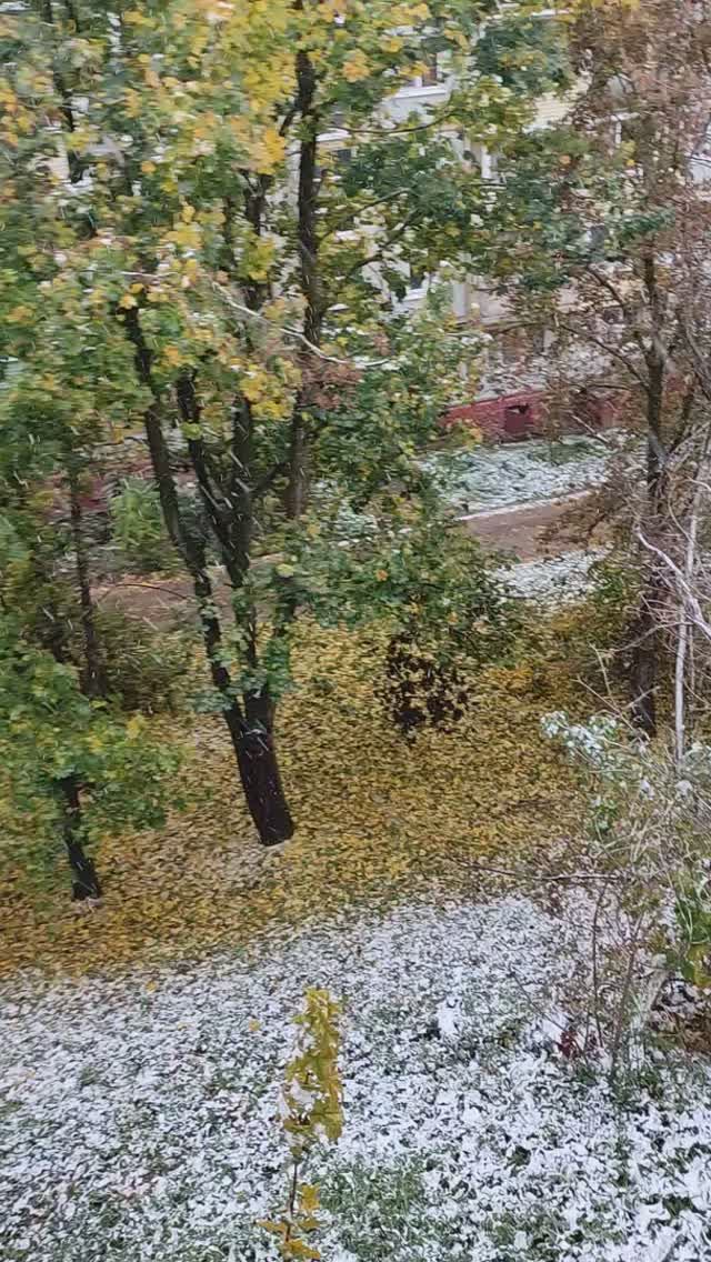 Первый снежок. Здрасьте 🥺🌨️ А мы вас не ждали... 14 октября, Калуга