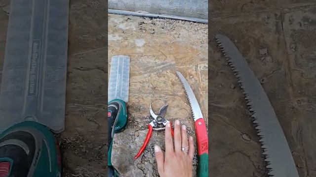 Видео "Обзор инструментов для ухода за садом"