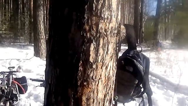 2016_02_21_Перегон_2