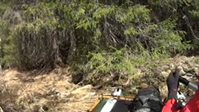 2024_05_21_022_Вижай_Упускат