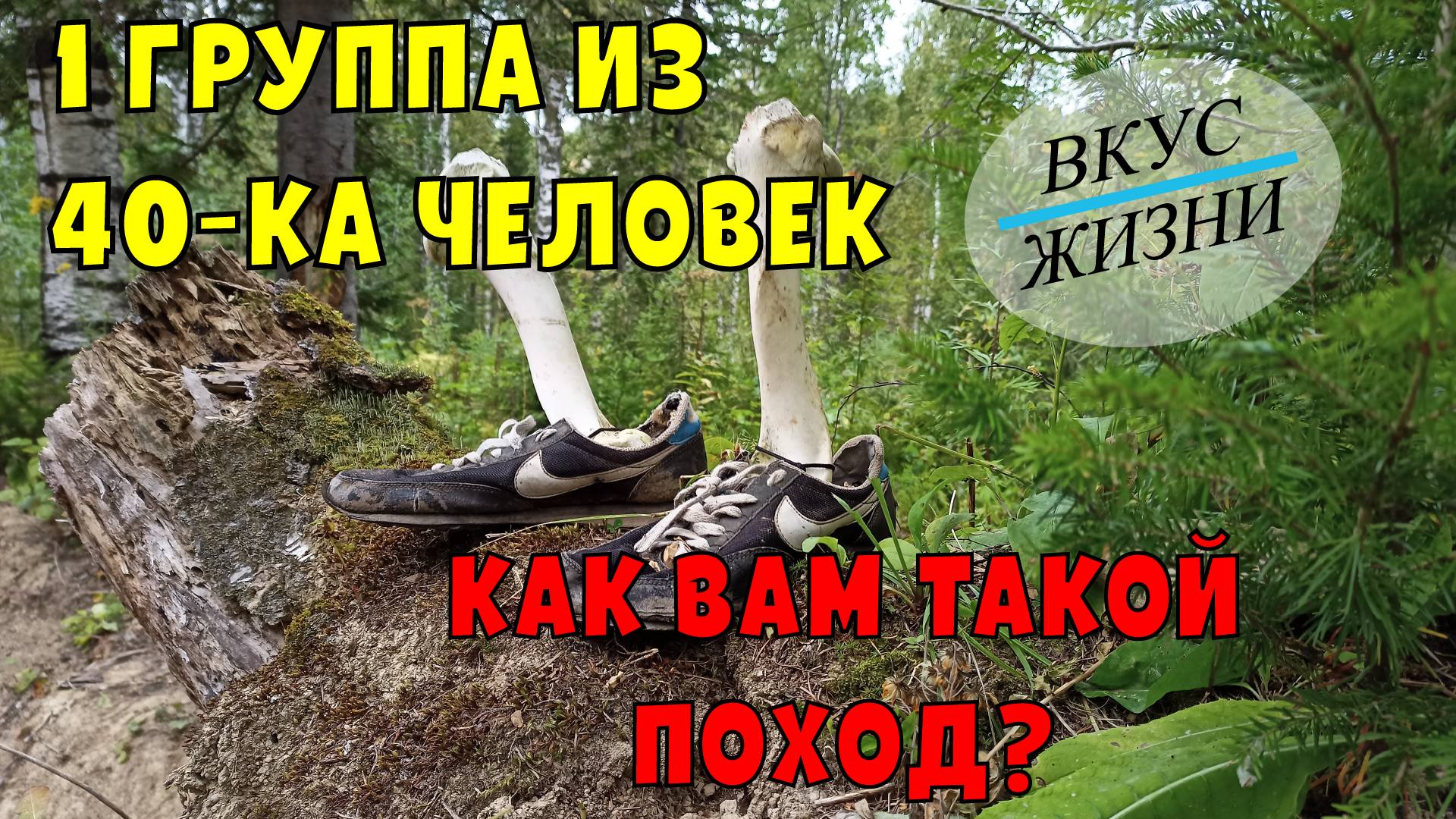 Поднебесные зубья художественная аэросъемка / интересные места / туры / туризм / поход выходного дня