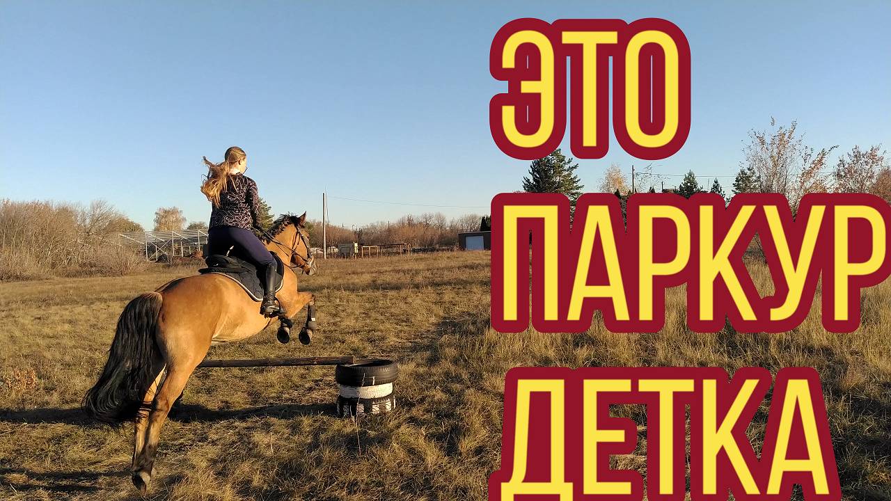 Лошадь. Да Детка! Это паркур детка!