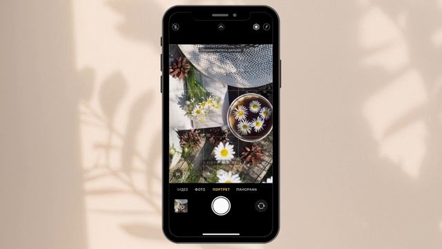 Основные правила предметной съемки