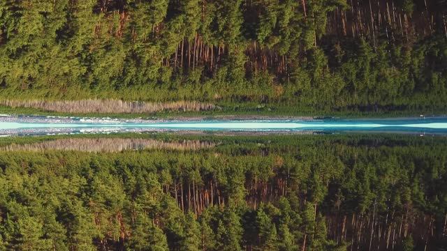 Сохраним наши леса