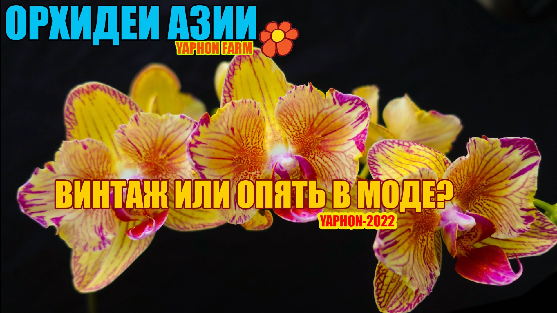 Вторая жизнь сортов?